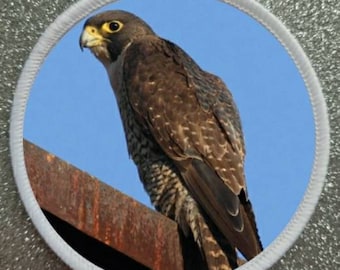 Birds of Prey Badge - Etsy