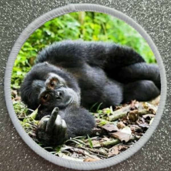 Monkey Middle Finger - Etsy