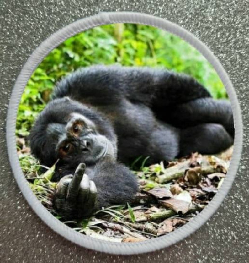 3 Inch Gorilla Middle Finger Patch Badge - Etsy Canada
