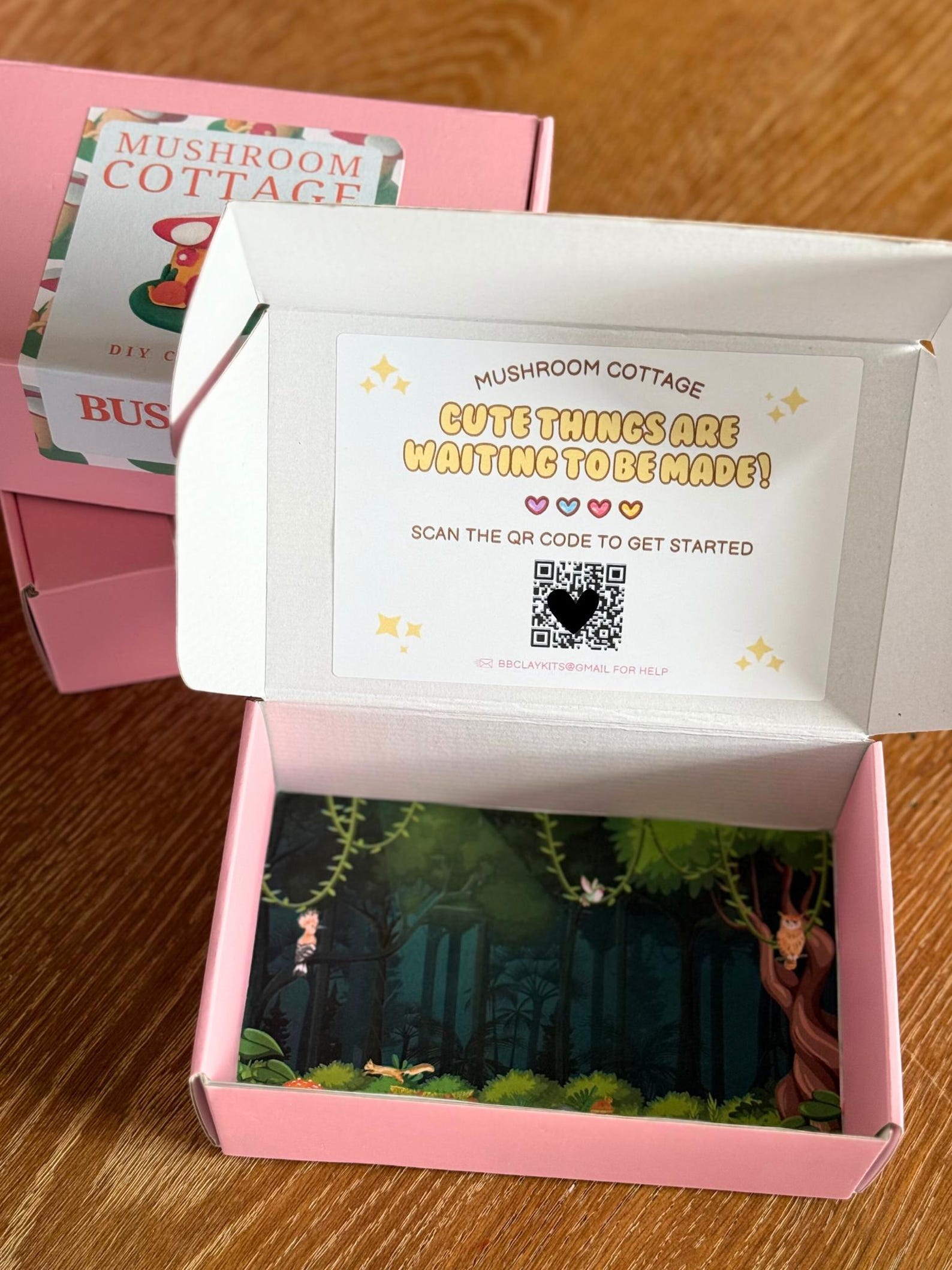 DIY Premium Air Dry Clay Kit - Cottagecore Mushroom Cottage & Snail ...