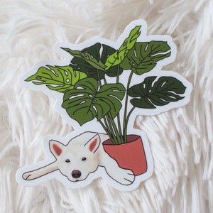 Jindo Monstera Vinyl Sticker | Jindo Sticker | Monstera Sticker | Plant ...