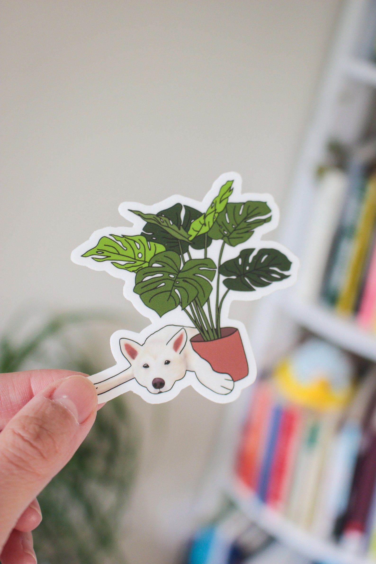 Jindo Monstera Vinyl Sticker Jindo Sticker Monstera | Etsy