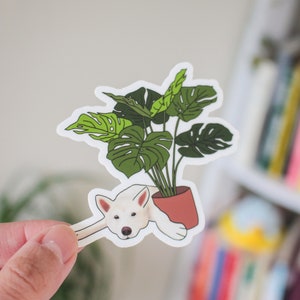 Jindo Monstera Vinyl Sticker | Jindo Sticker | Monstera Sticker | Plant ...