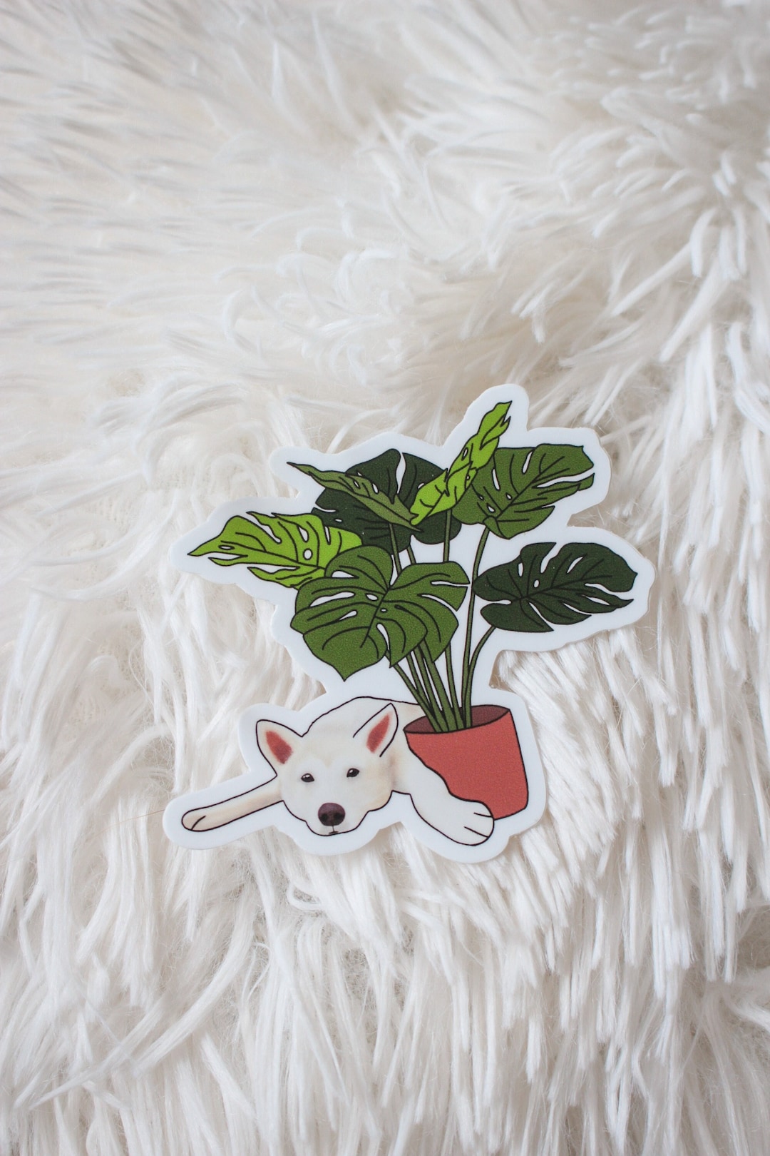 Jindo Monstera Vinyl Sticker | Jindo Sticker | Monstera Sticker | Plant ...