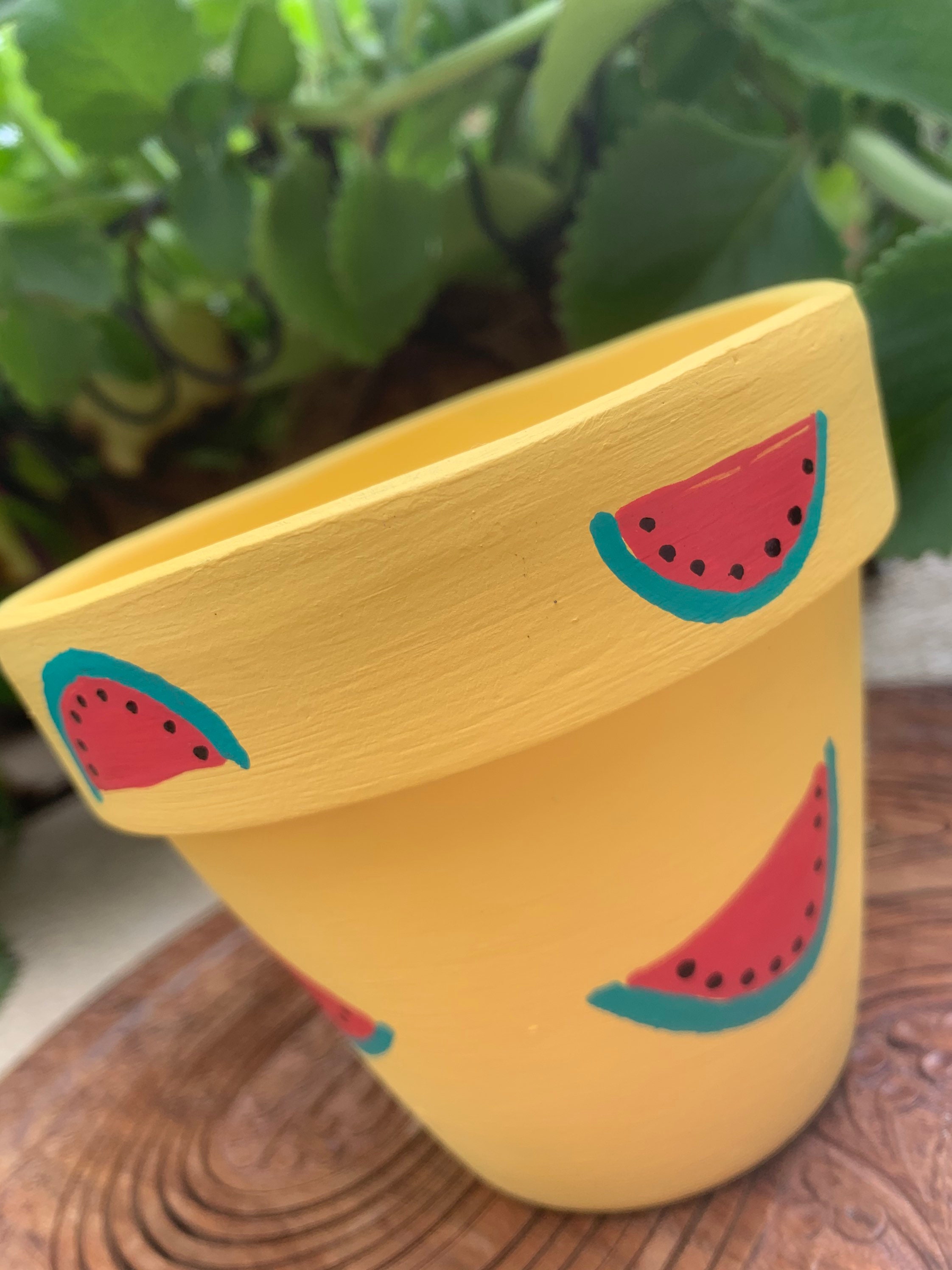 Watermelon Hand-painted Terra-cotta Pot 4 Inches Hand Painted Clay ...
