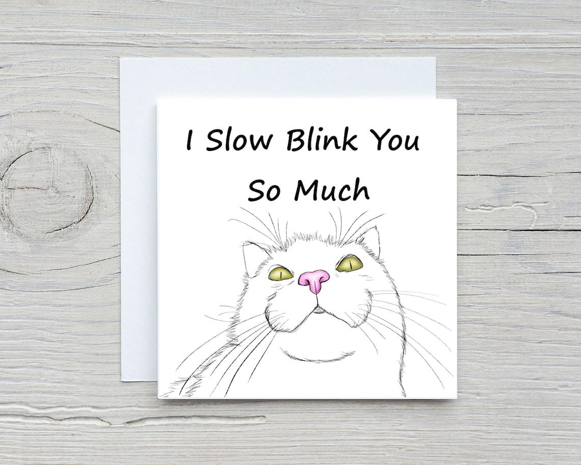 I Slow Blink You so Much. I Slow Blink You Card. Cat Slow Blink. Cat ...
