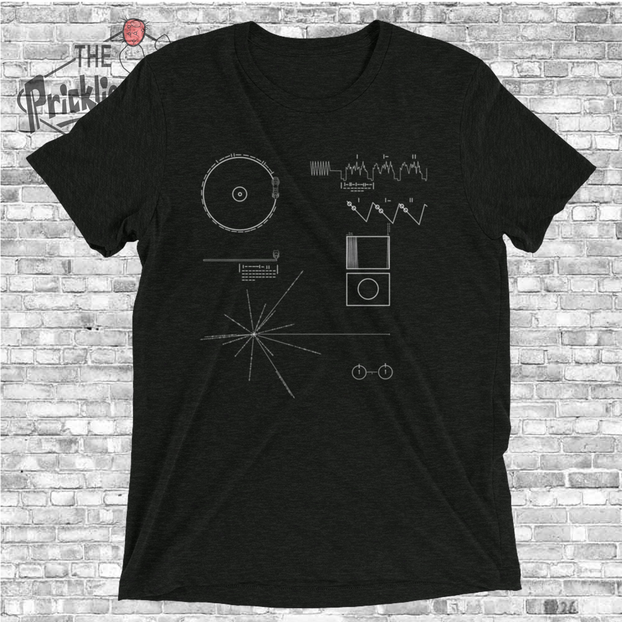 Carl Sagan Voyager Golden Record Shirt | Carl Sagan Shirt, Science T ...