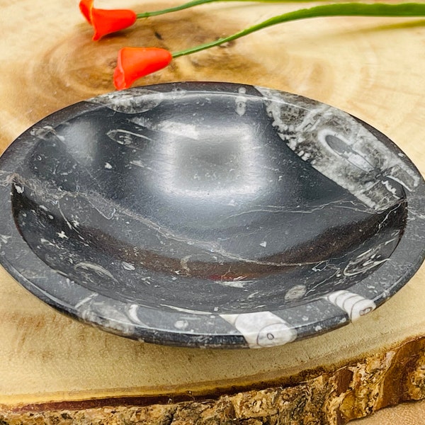 Fossil Stone Bowl - Etsy