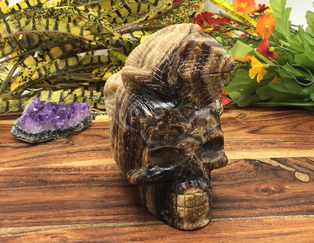 Root Beer Calcite Skull & Chameleon on Top Sculpture | Chocolate ...