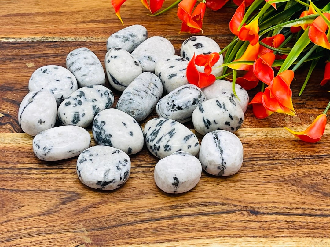 Zebra Jasper Tumbled Stone, Polished Crystal Healing Stone - Etsy