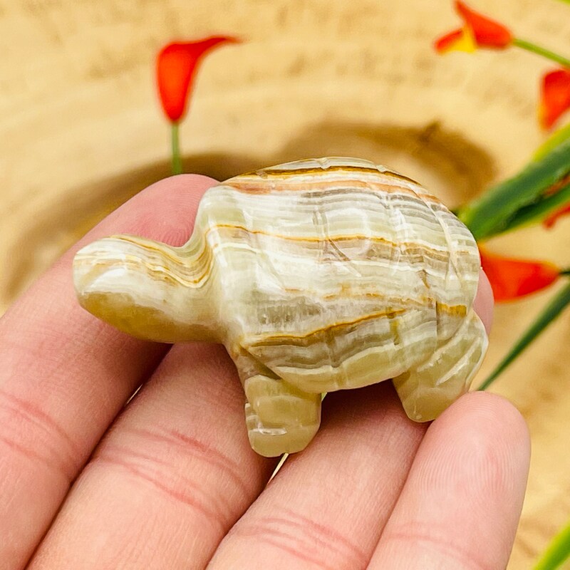 Elephant Turtle - Etsy