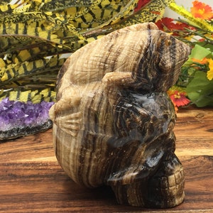 Root Beer Calcite Skull & Chameleon on Top Sculpture | Chocolate ...