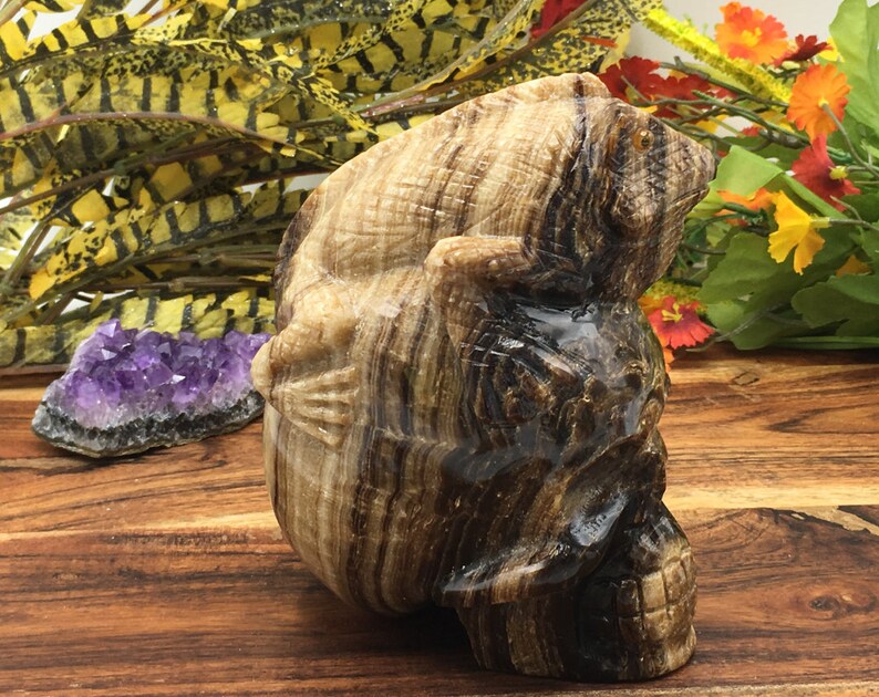Root Beer Calcite Skull & Chameleon on Top Sculpture - Etsy