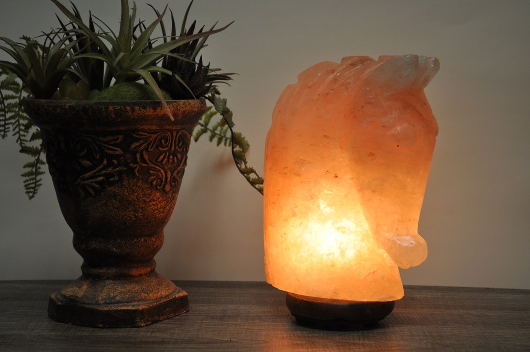 Himalayan Pink Salt Desk Lamp With Electric Cord & 2 Bulbs, Rock Salt ...