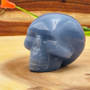 Angelite Crystal Skull, Realistic Detail Fine Art Sculpture ...