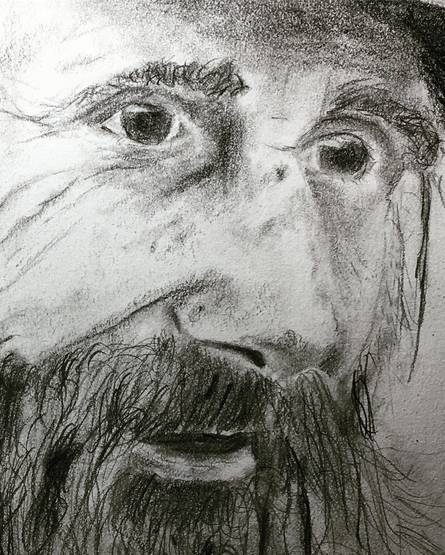 8x10 Graphite Mountain Man Portrait (prints of Original) - Etsy