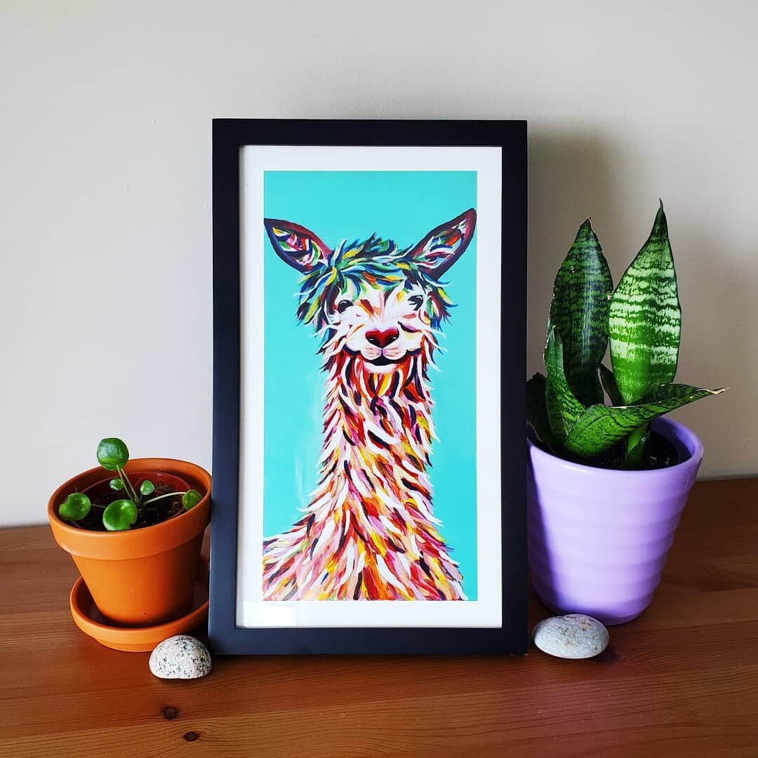 Framed Little Llama Studio Art Print, Framed Llama Art Print, Animal ...