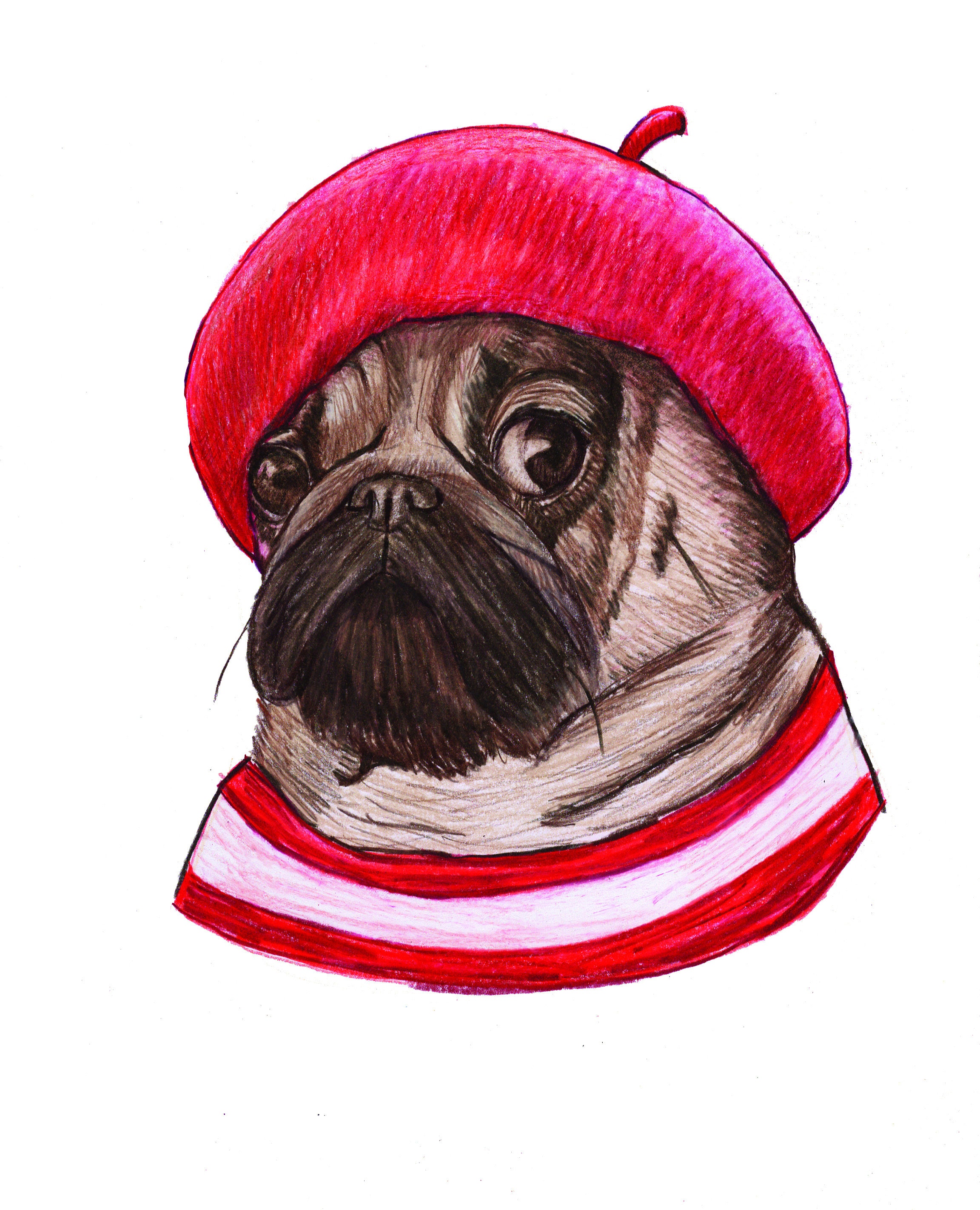 Art Print / Pug Drawing / Dog Drawing / Dog Art / Dog Lover Gift / Cute ...