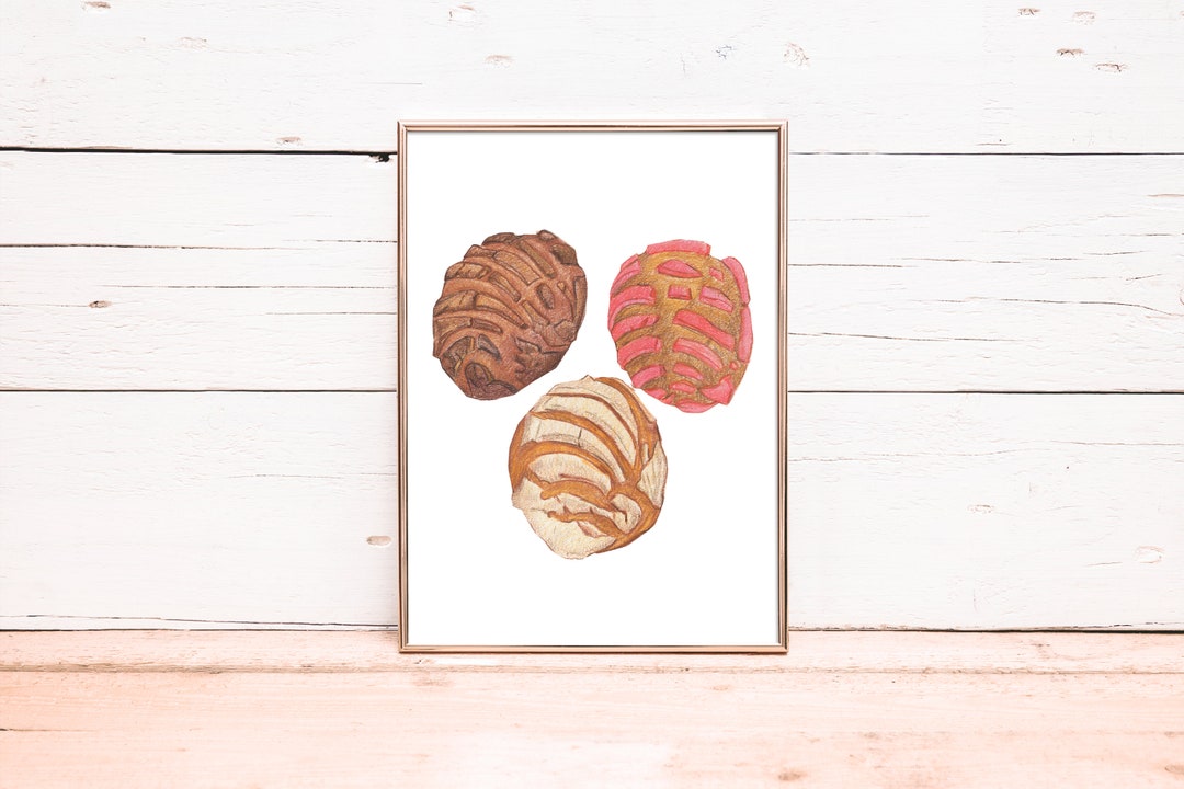 Concha Drawing Wall Art Print - Etsy