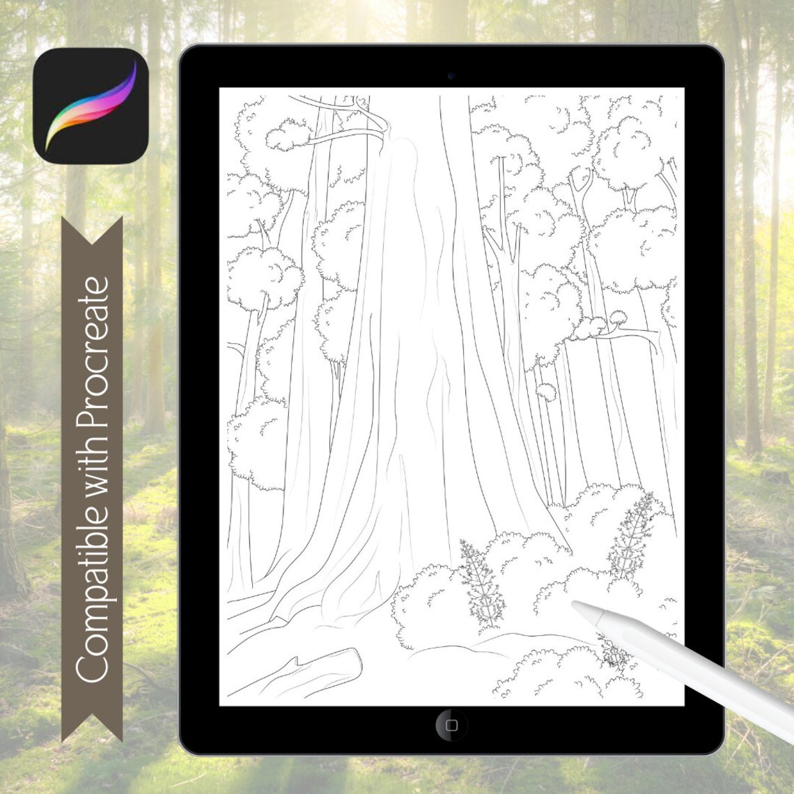 FOREST WALK Coloring Pages Digital Coloring Book Trees and - Etsy