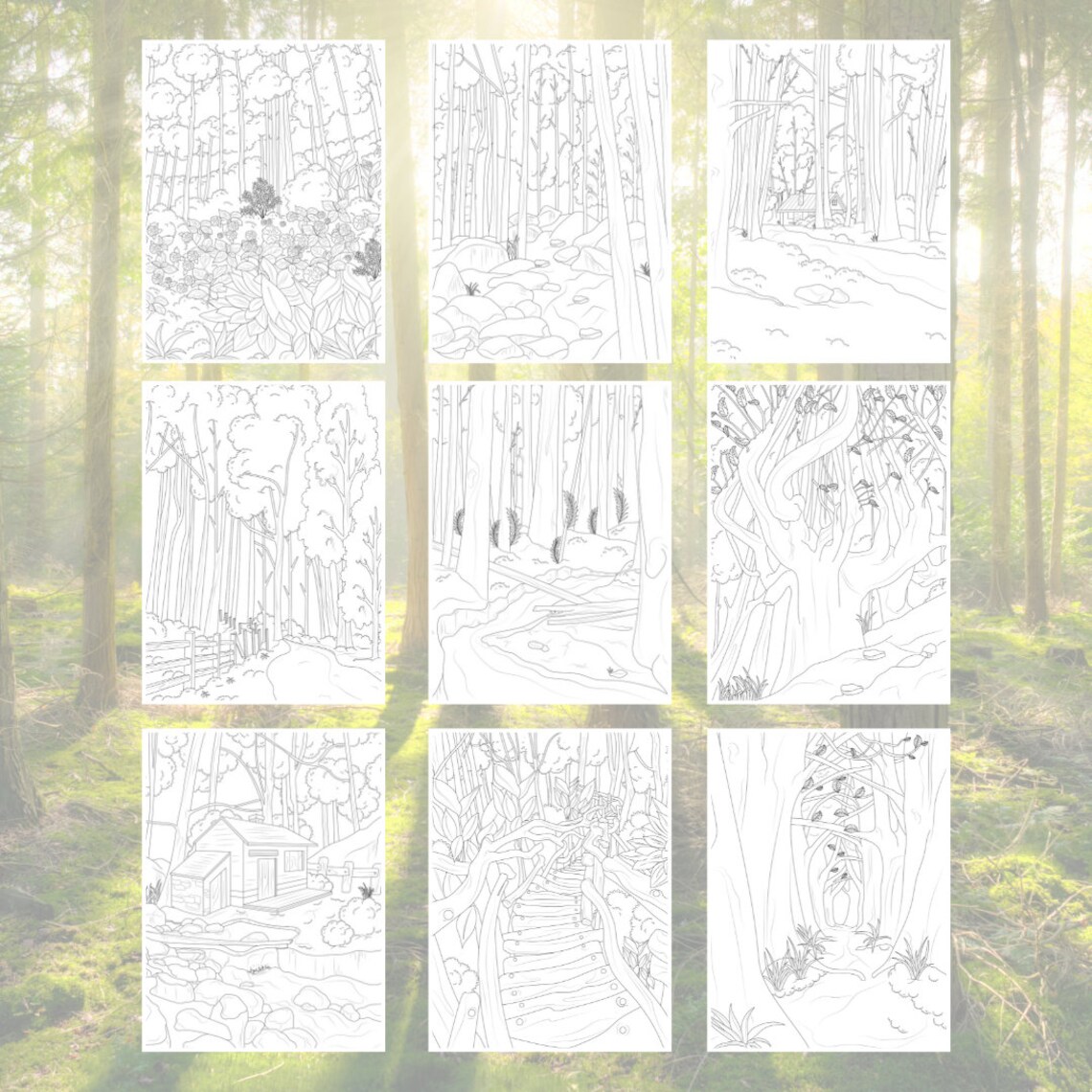 FOREST WALK Coloring Pages Digital Coloring Book Trees and - Etsy