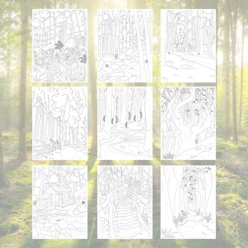 FOREST WALK Coloring Pages Digital Coloring Book Trees and - Etsy