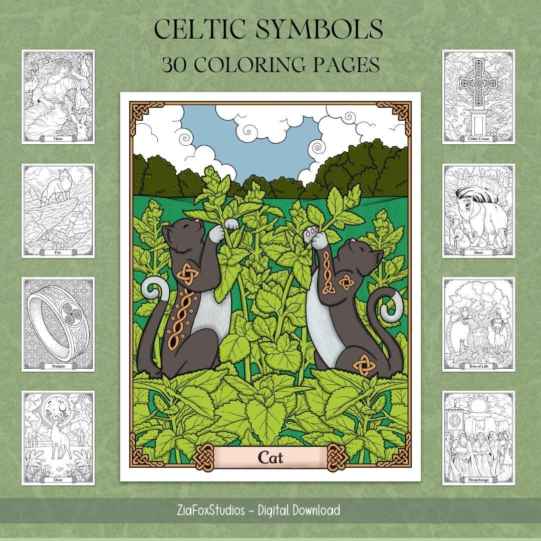 Celtic Symbols Coloring Book | Printable PDF and JPG Files | Celtic ...