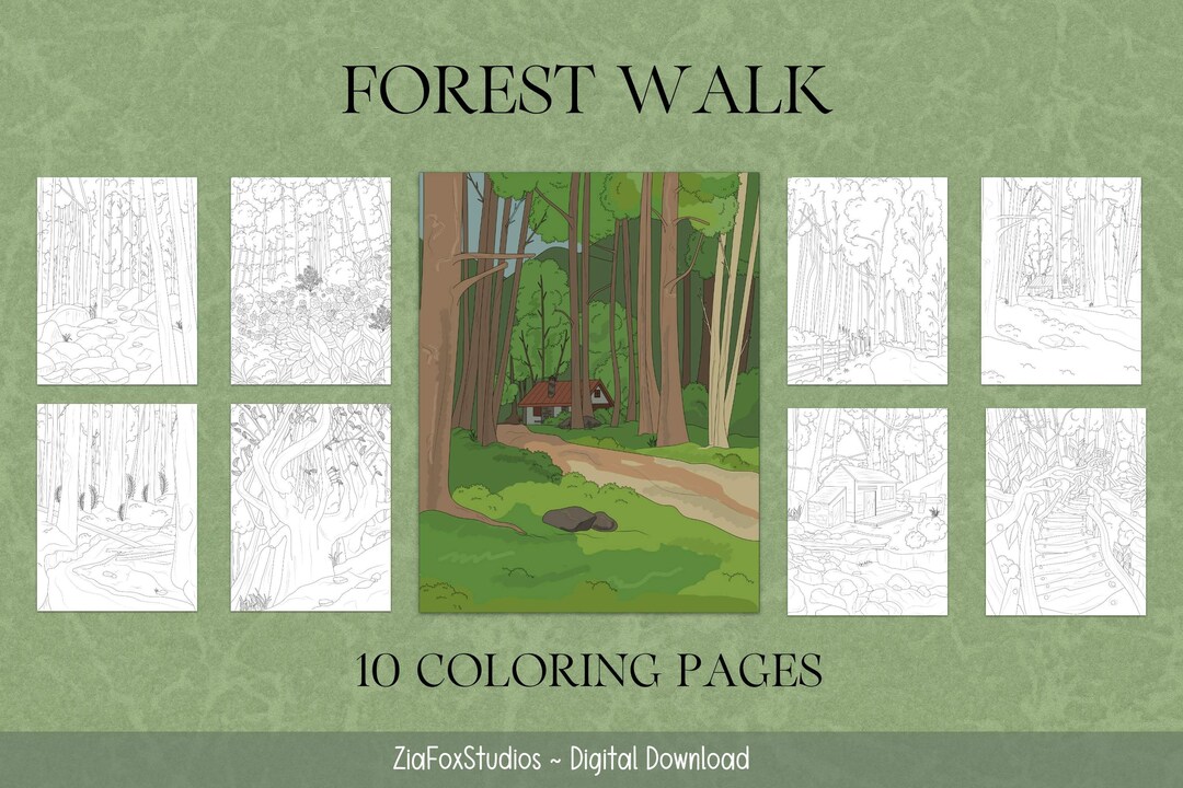 FOREST WALK Coloring Pages Digital Coloring Book Trees and Forest Paths ...