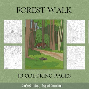 FOREST WALK Coloring Pages Digital Coloring Book Trees and Forest Paths ...