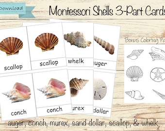 Parts of a Jellyfish Nomenclature 3-part Cards Montessori Zoology ...