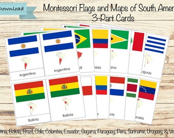 Shells 3-part Cards Montessori Nomenclature PDF Printable - Etsy