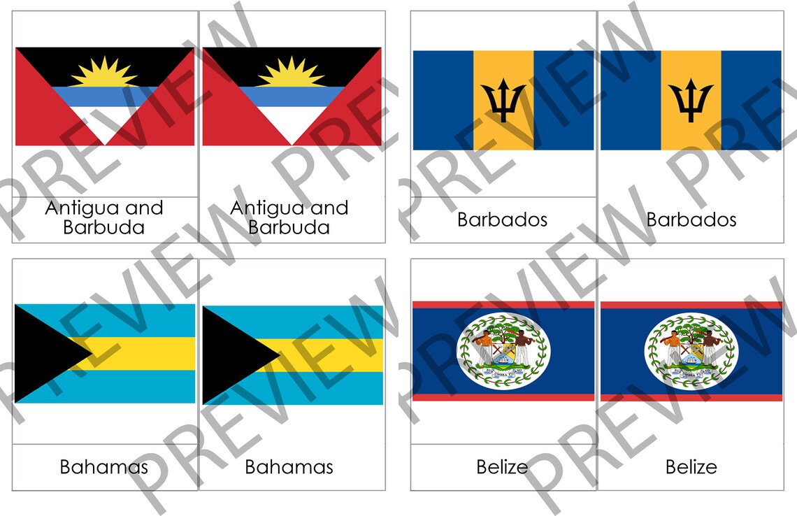 Flags of North America 3-part Cards Montessori Nomenclature - Etsy