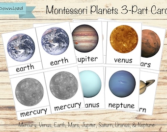 Shells 3-part Cards Montessori Nomenclature PDF Printable - Etsy