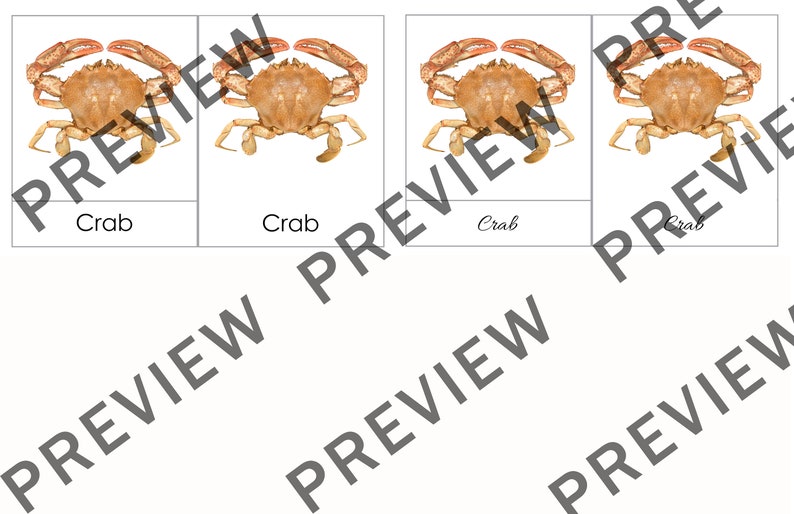 Crustacean - 3 Part Cards Montessori Nomenclature PDF Printable - Etsy