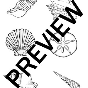 Shells - 3-part Cards Montessori Nomenclature PDF Printable - Etsy