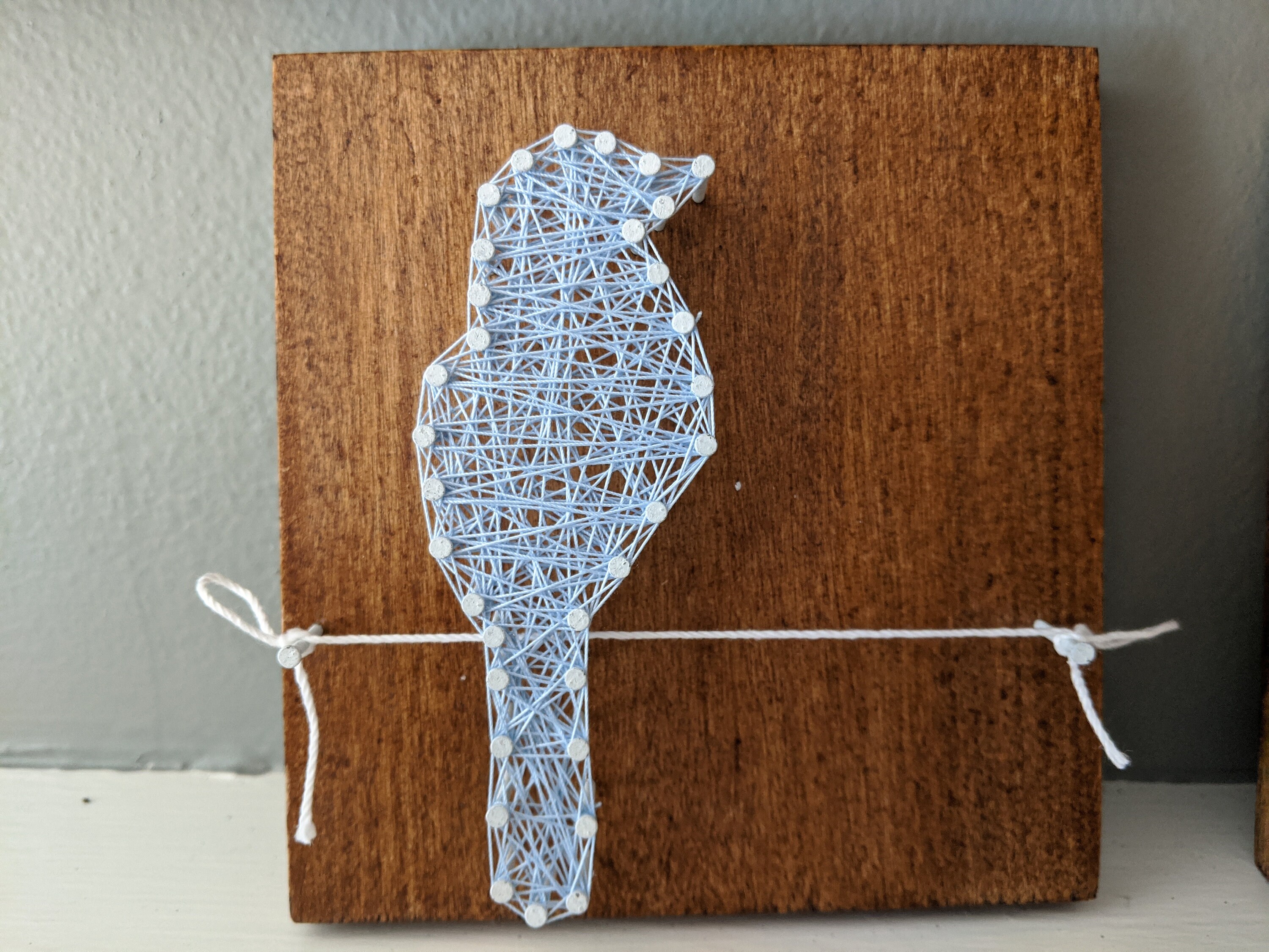 Spring String Art Set - Etsy