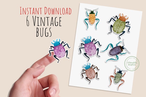 Vintage Bug Sticker Bundle 6 PNG White Border Instant | Etsy