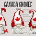Canadian Flag Gnomes Hand Drawn Watercolour Canada Gnome | Etsy