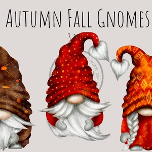 Fall Gnome Clipart PNG Bundle Autumn Gnomes Bundle Hand Drawn ...