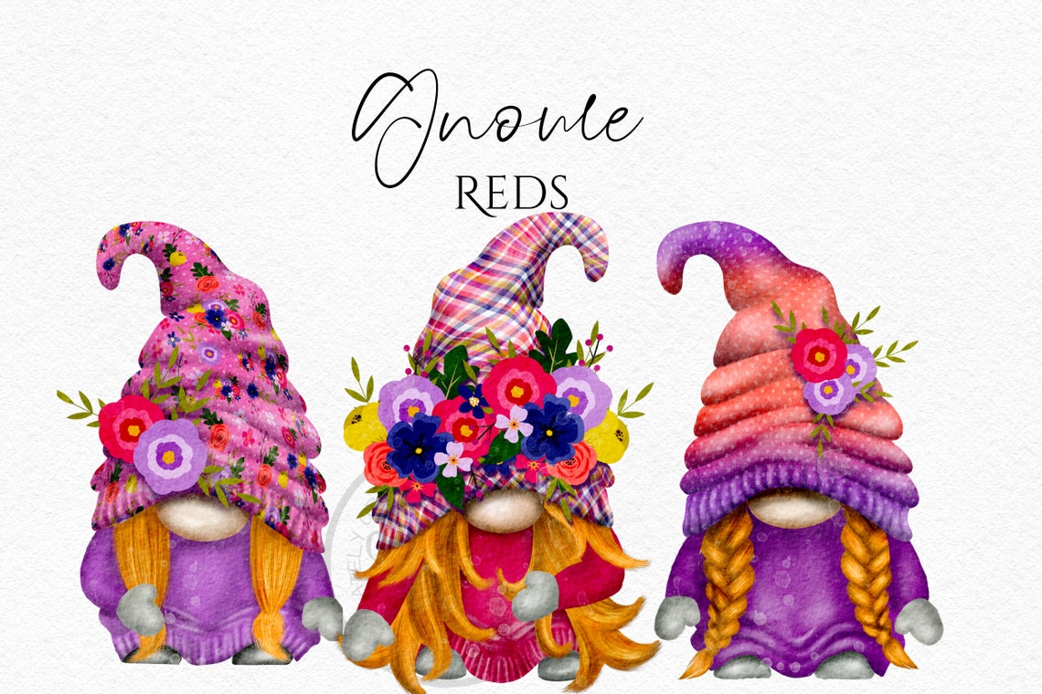 Best Friends Gnomes Sisters Gnome Best Friend's Gonks | Etsy