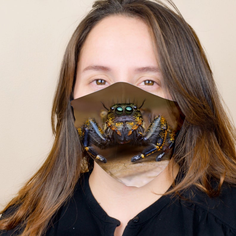 Spider Face Mask with Filter Pocket Adjustable ear loops 3 | Etsy