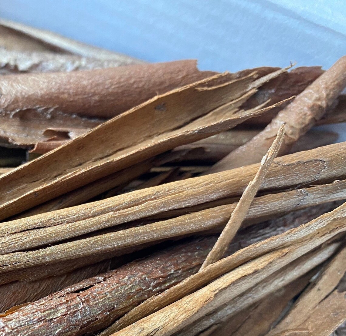 Natural British Eucalyptus Bark, Natural Bark Slices, Eucalyptus Bark ...