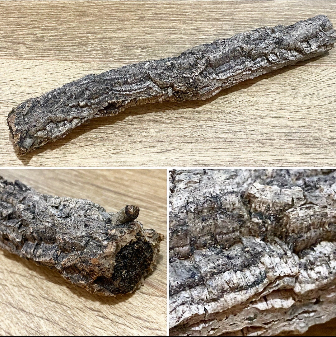 Solid Unique Natural Cork Bark Branch, Cork Branch, Cork Bark Pieces ...