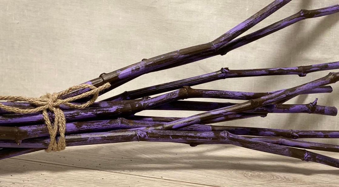 Hand Painted Dried Decorative Branches, Natural Branches, Painted ...