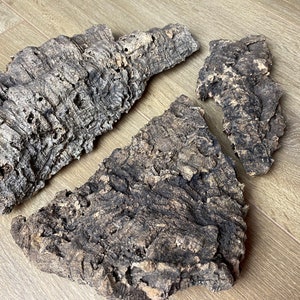 3 Unique Natural Cork Barks, Cork Bark, Cork Bark Pieces, Natural Tree ...