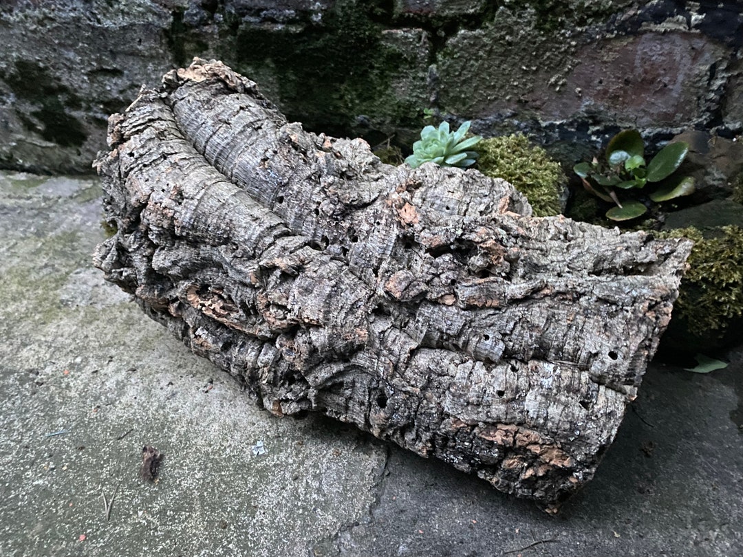 Pretty Unique Natural Cork Bark, Cork Bark, Cork Bark Pieces, Natural ...