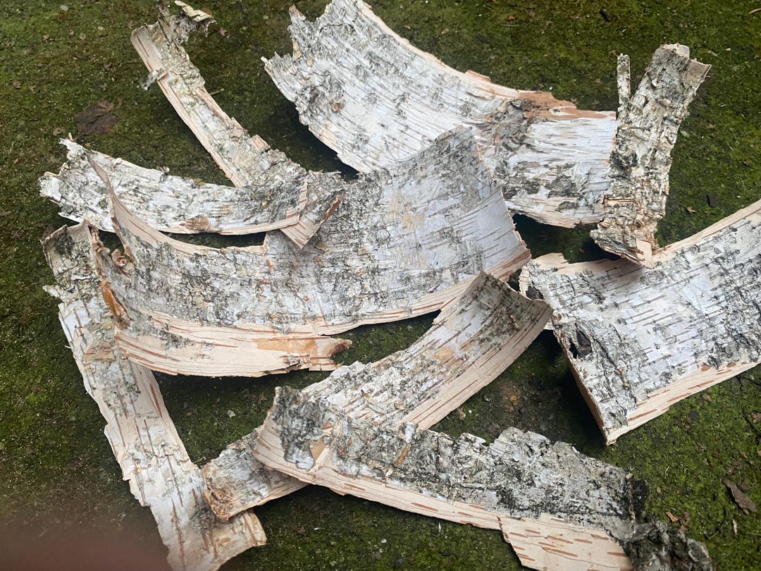 Natural Birch Bark Sheet, Natural Birch Bark, Bark From Forest, Natural ...