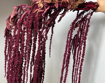 Burgundy Hanging Amaranthus - Etsy