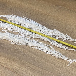 Preserved Hanging Amaranthus, White Preserved Amaranth, Natural ...