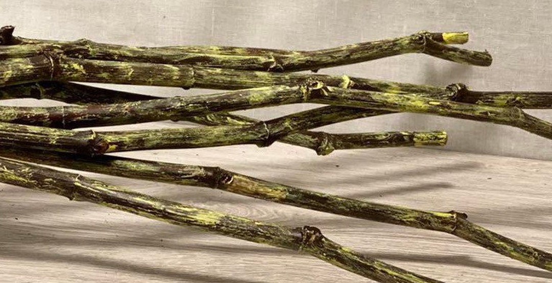 Hand Painted Dried Decorative Branches, Natural Branches, Painted ...